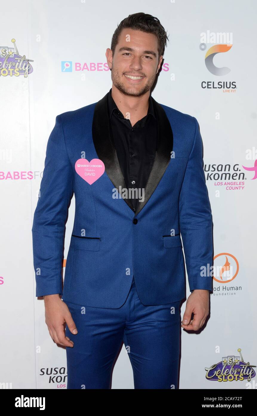 LOS ANGELES - DEC 5: David Barta at the Babes for Boobs 5th Annual Live ...