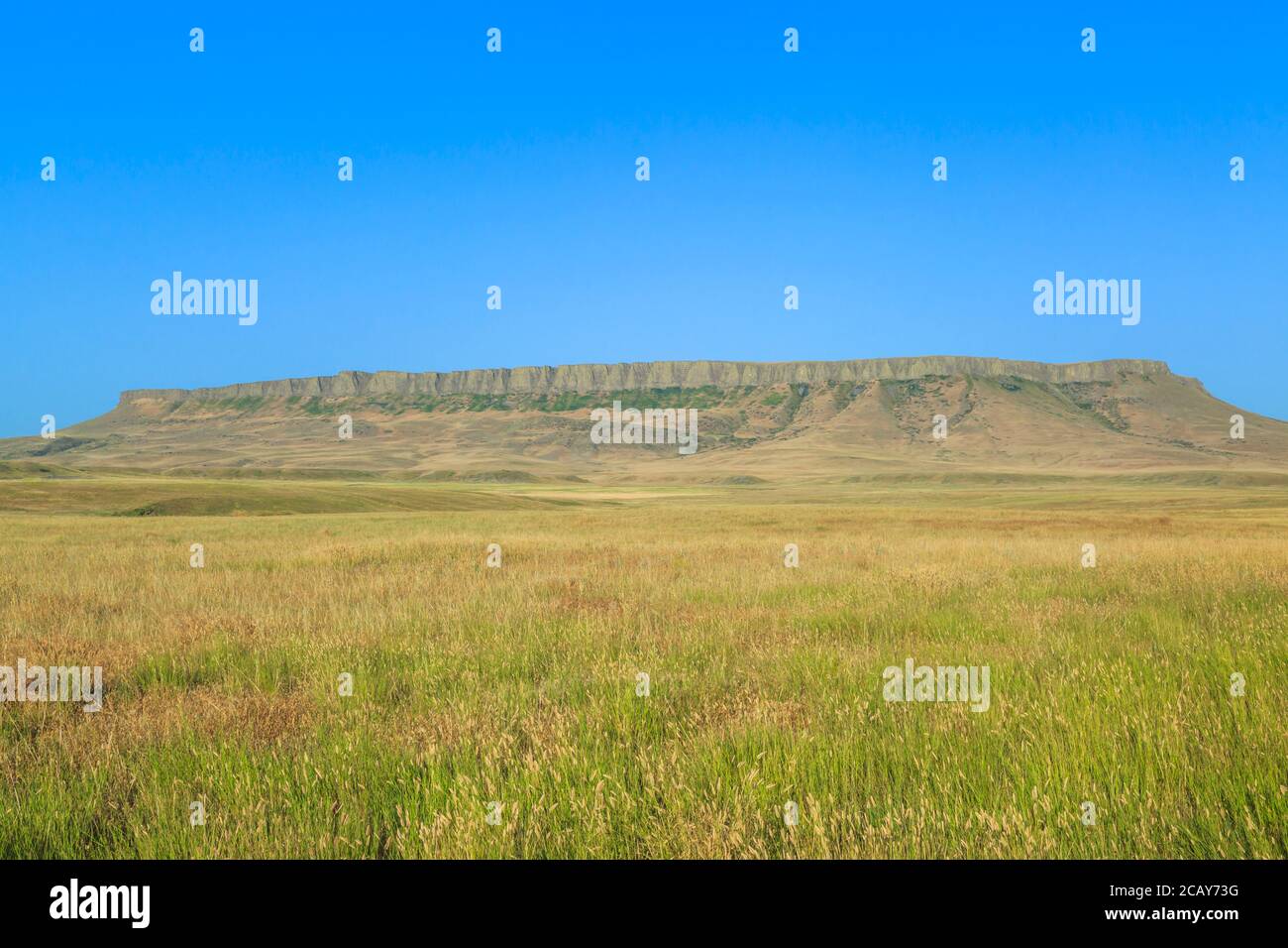 square butte above prairie grassland near ulm, montana Stock Photo - Alamy
