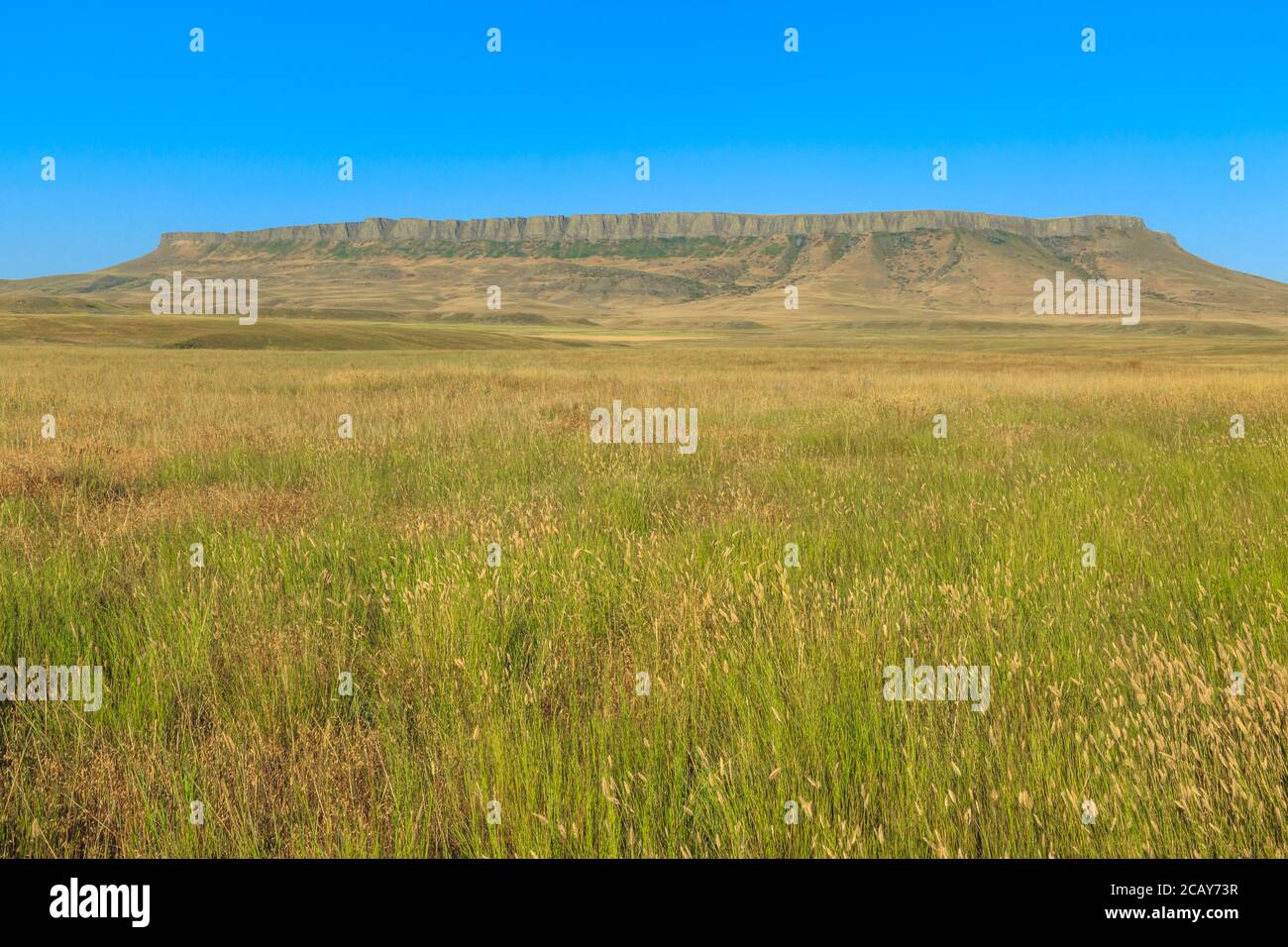square butte above prairie grassland near ulm, montana Stock Photo - Alamy