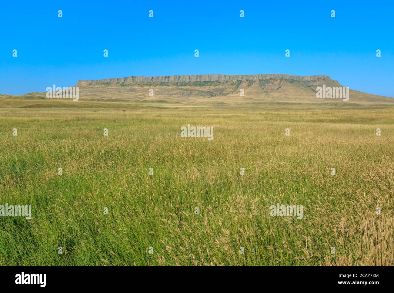 square butte above prairie grassland near ulm, montana Stock Photo - Alamy