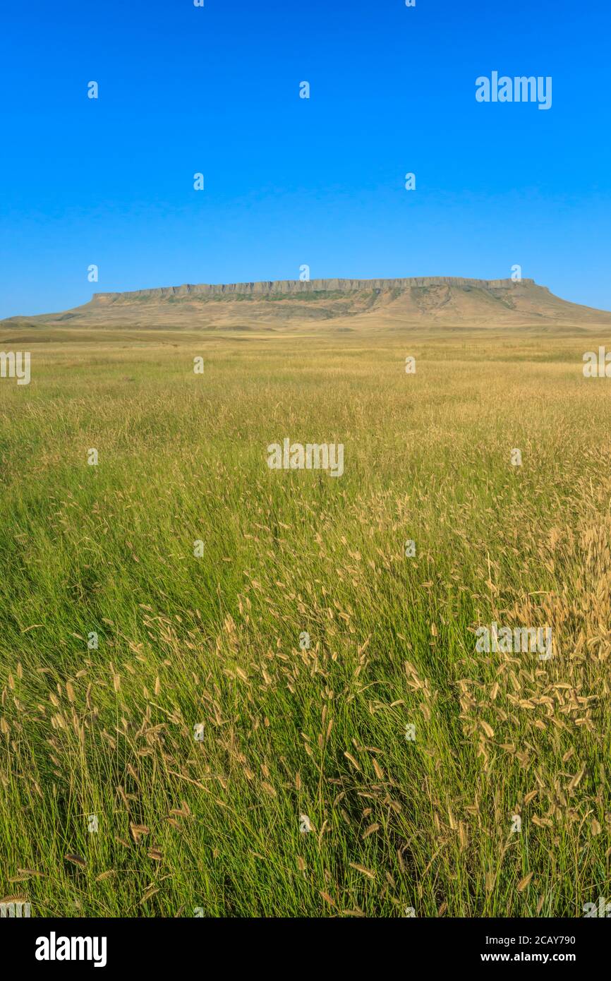 square butte above prairie grassland near ulm, montana Stock Photo - Alamy