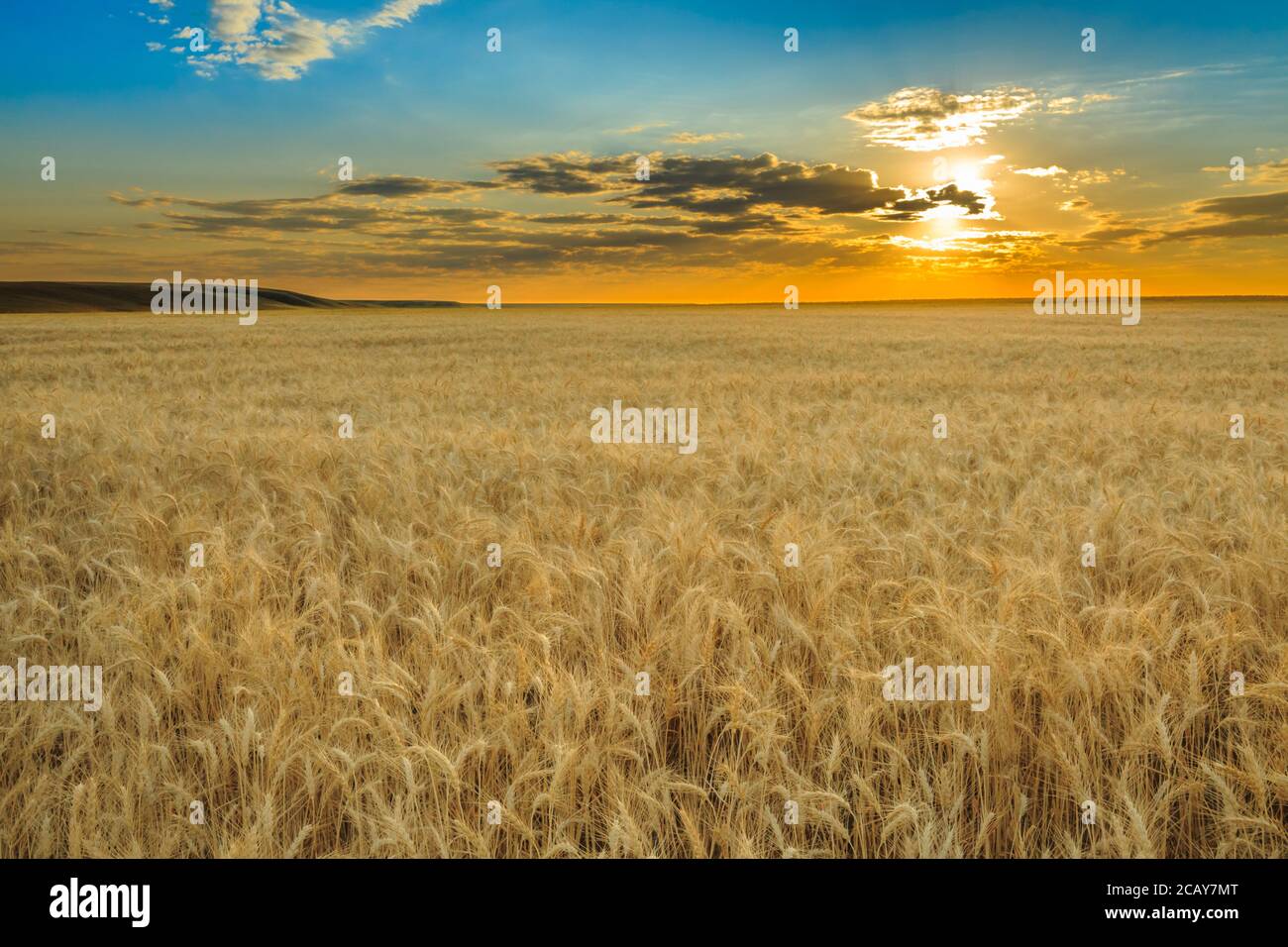 Mt d0872 hi-res stock photography and images - Alamy