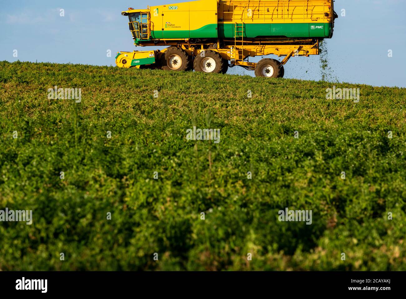 Self Propelled Pea Harvesters High Resolution Stock Photography and ...