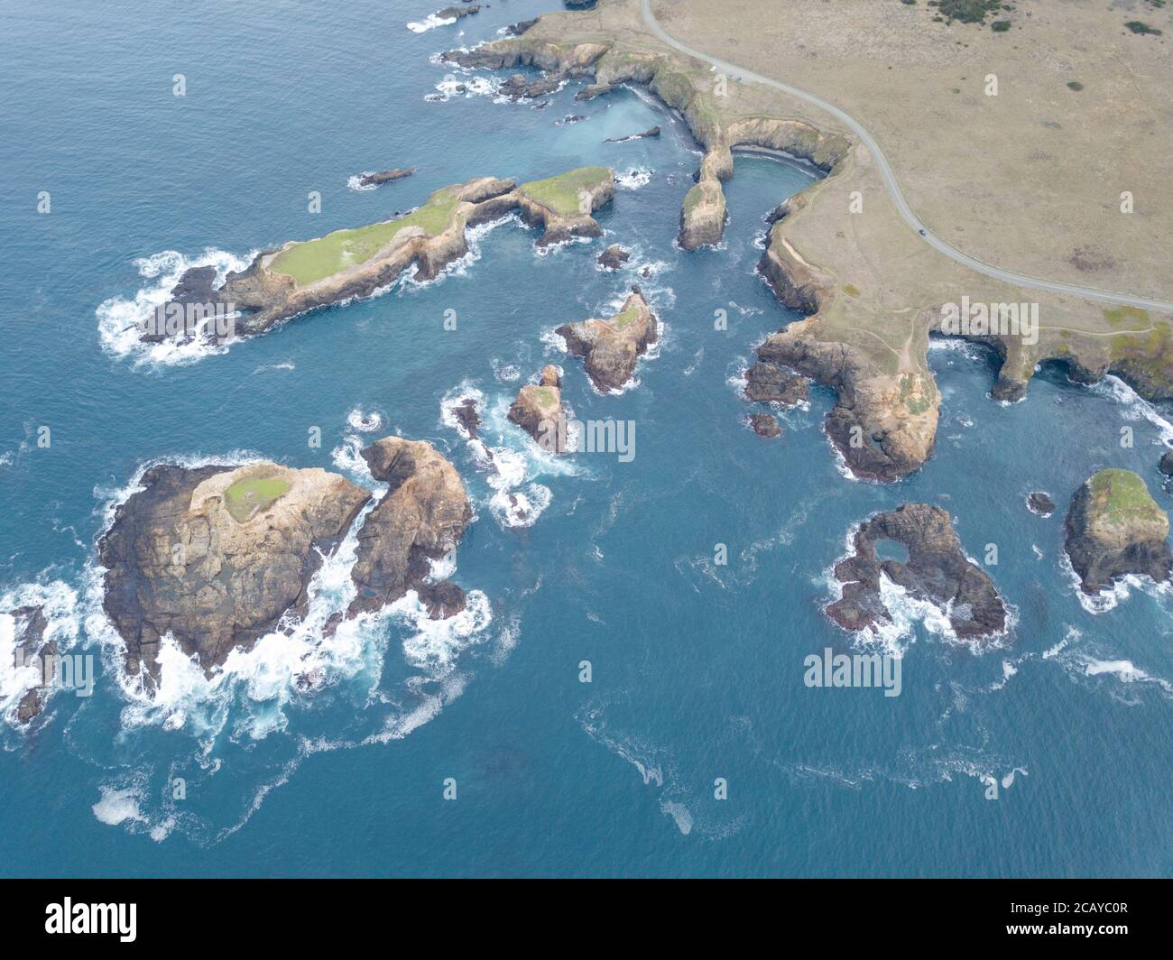 The cold water of the Pacific Ocean washes onto the coast of Mendocino ...