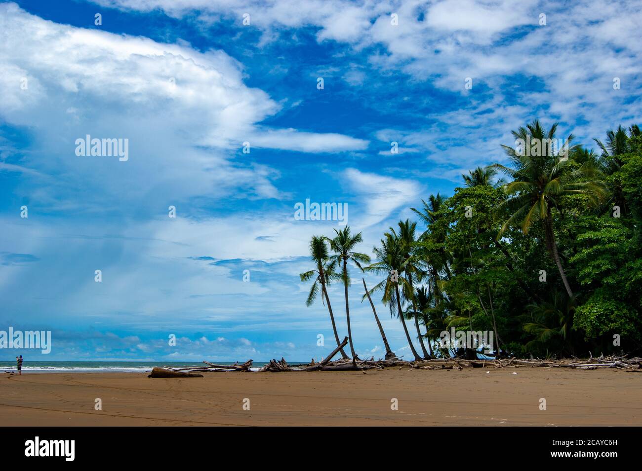 Tropical rainforest sunny hi-res stock photography and images - Alamy