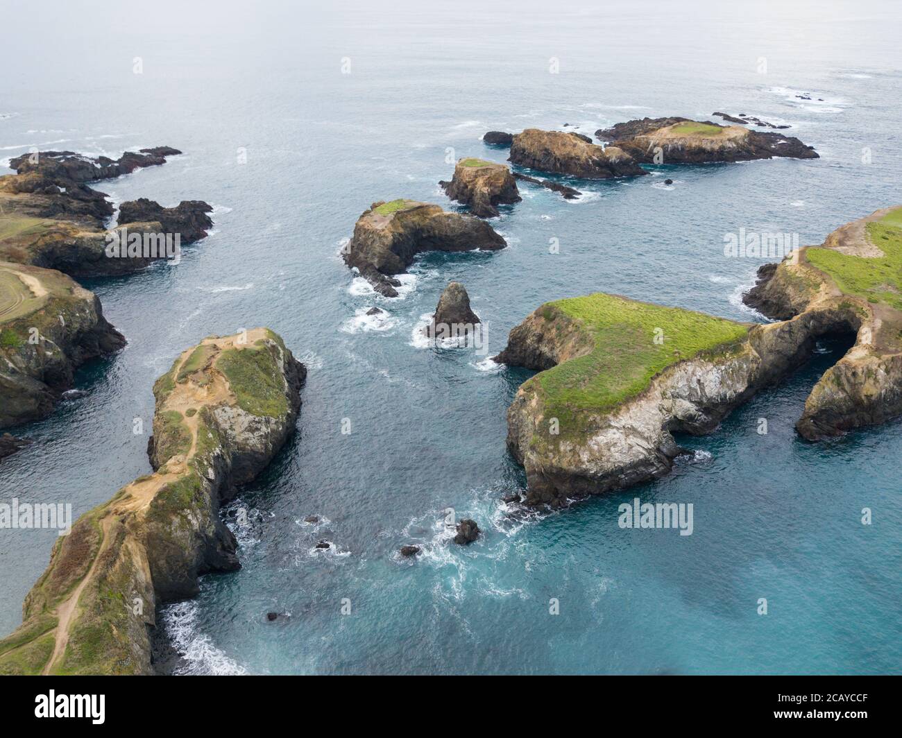 The cold water of the Pacific Ocean washes onto the coast of Mendocino ...