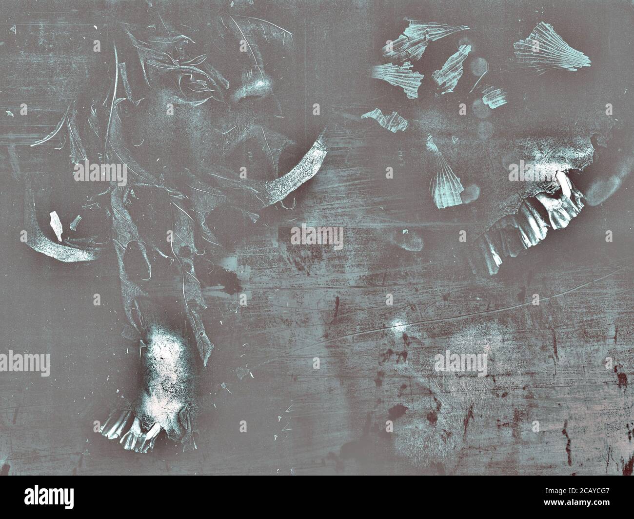 Scary skull. Art composition Stock Photo - Alamy