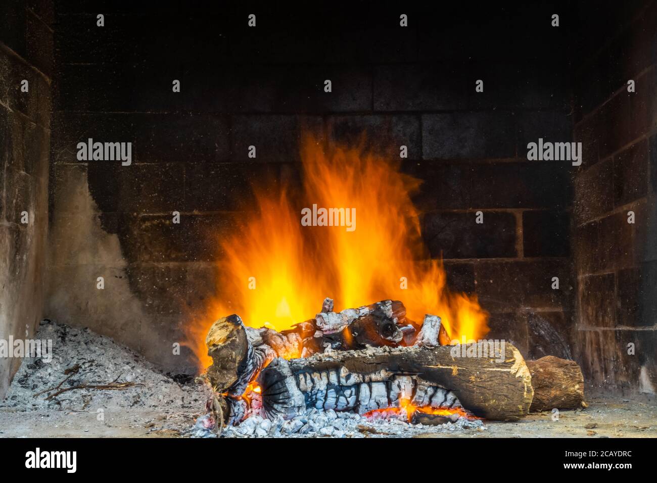 Flames in different forms of a bonfire made with orange tree trunks in ...