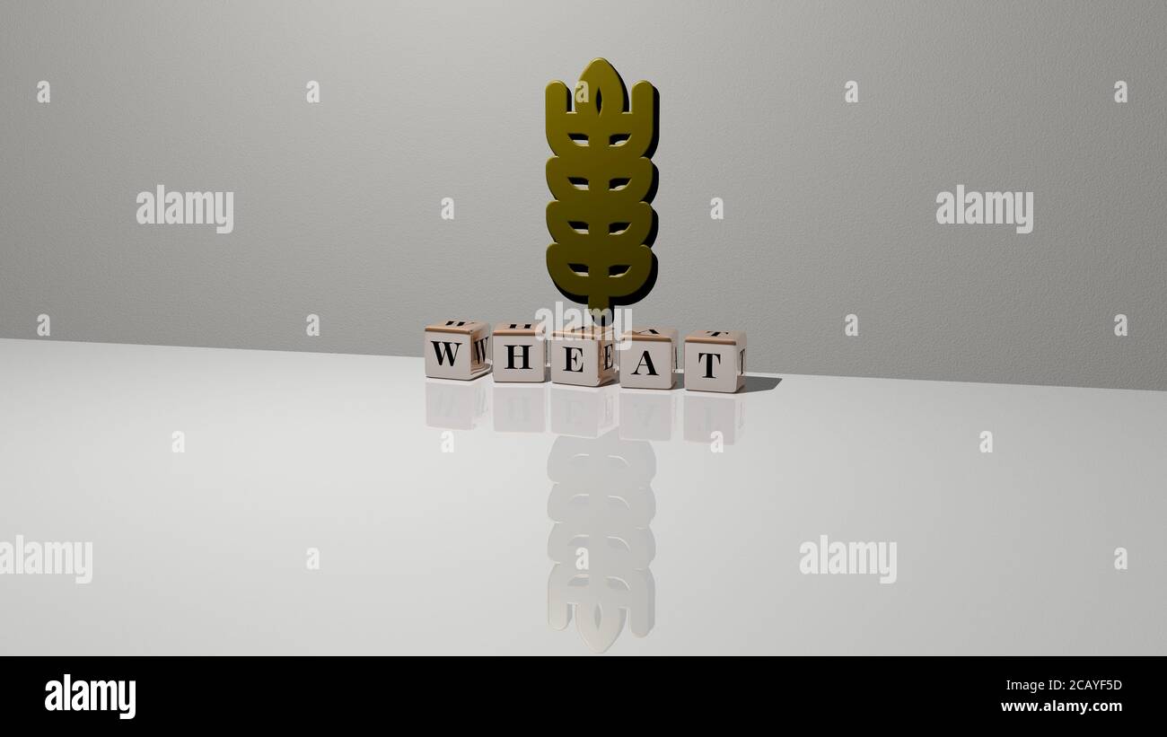 WHEAT text of cubic dice letters on the floor and 3D icon on the wall ...