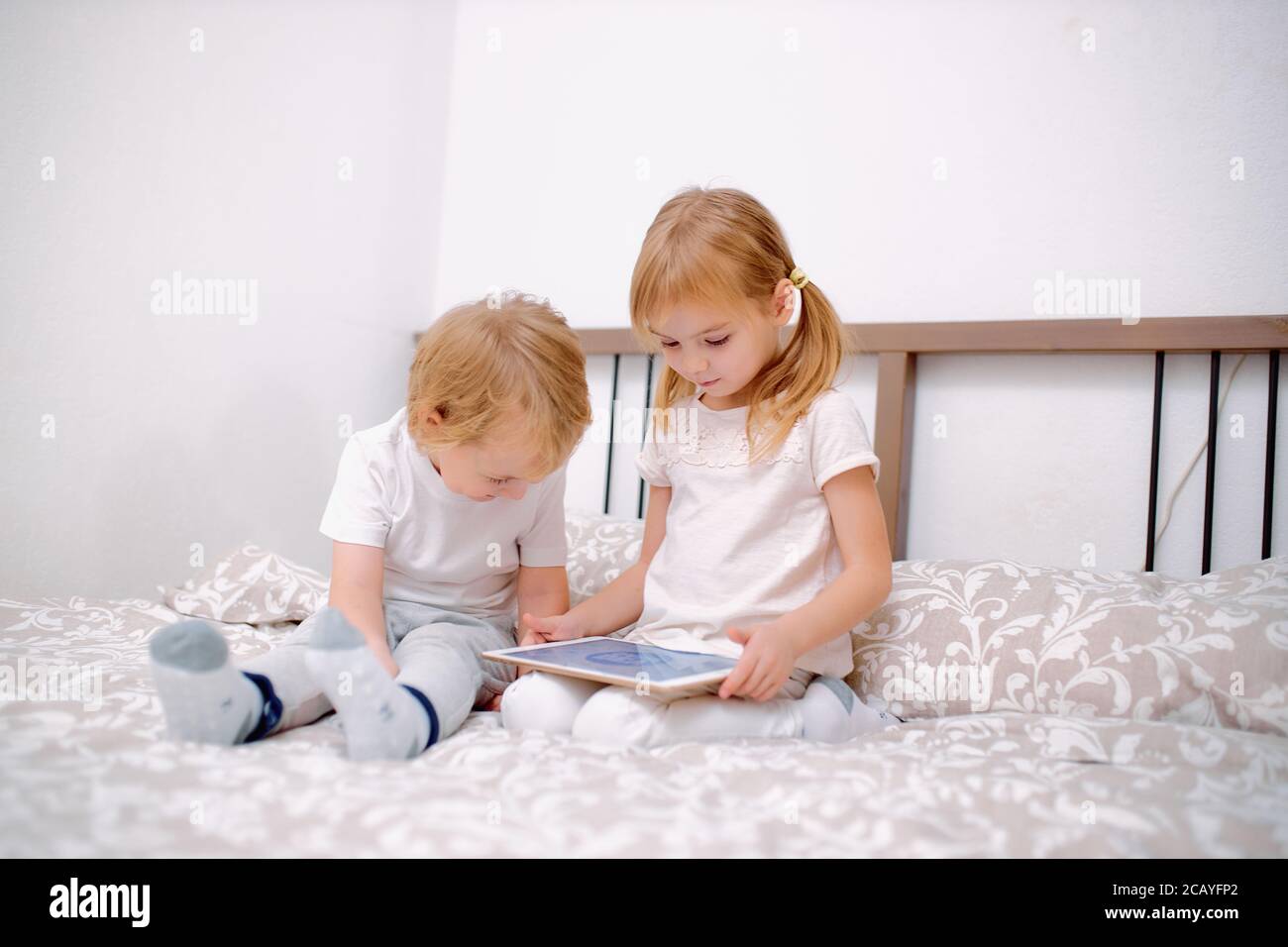 little caucasian children, boy and girl look at screen of laptop ...