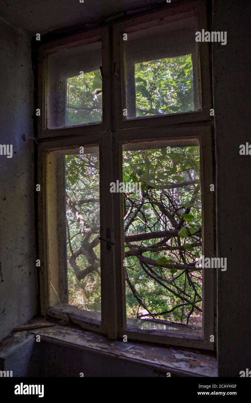 An old abandoned house and a broken window in it. Outside, the bushes ...