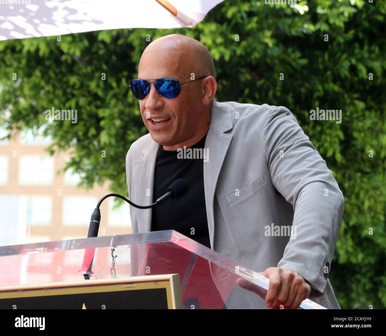 LOS ANGELES - MAY 28: Vin Diesel at the F. Gary Gray Star Ceremony on ...