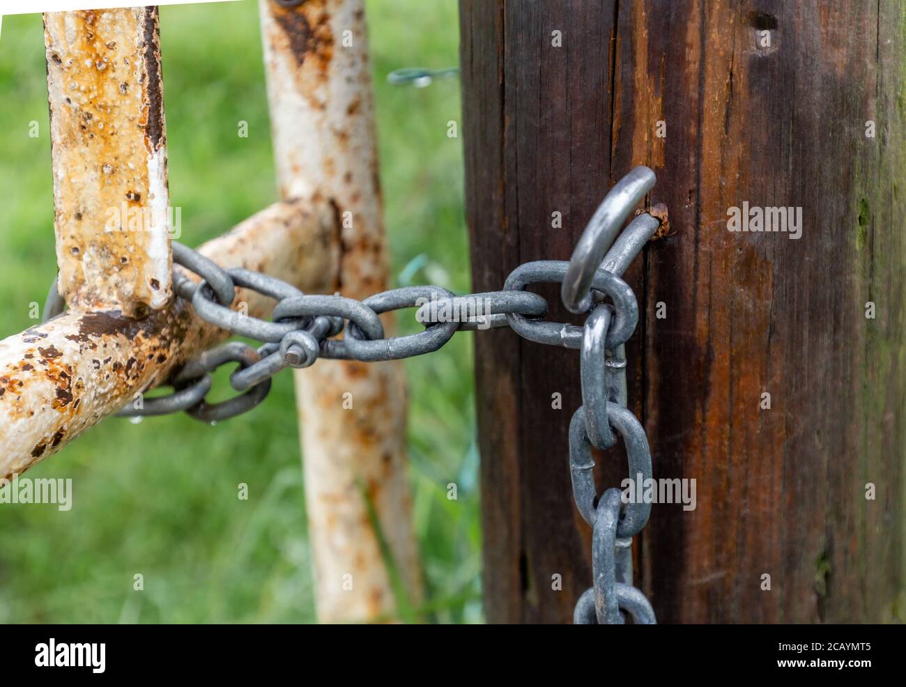 A hook and chain gate closure fitting Stock Photo - Alamy