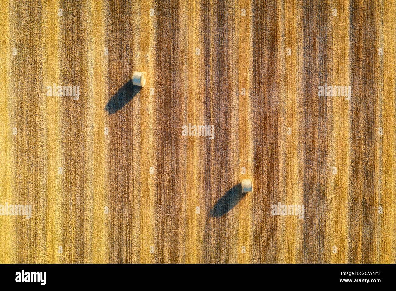 Aerial view of hay bales in summer. Top view of hay stacks Stock Photo ...