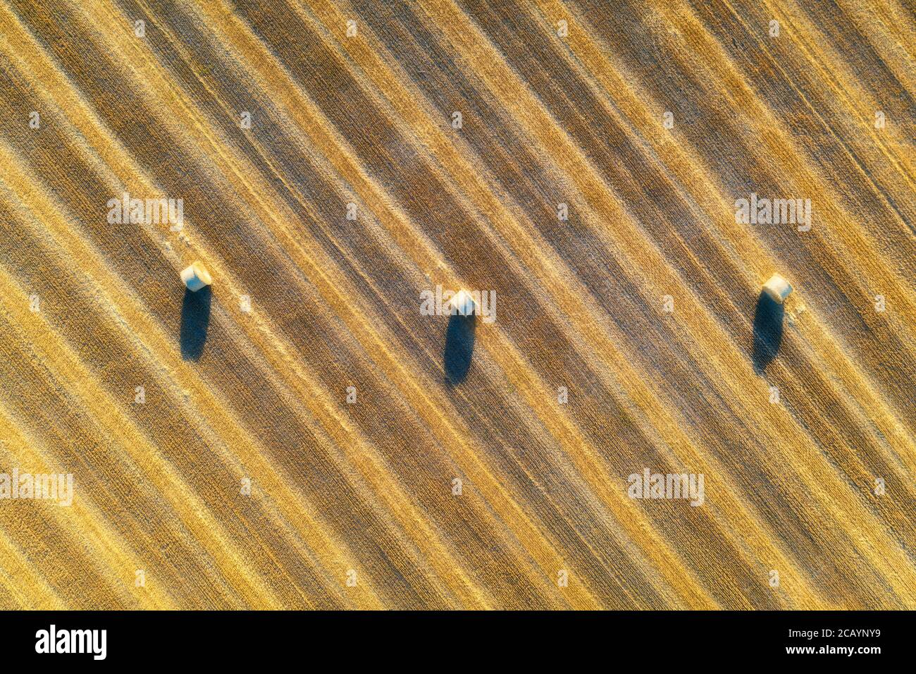 Aerial view of hay bales in summer. Top view of hay stacks Stock Photo ...