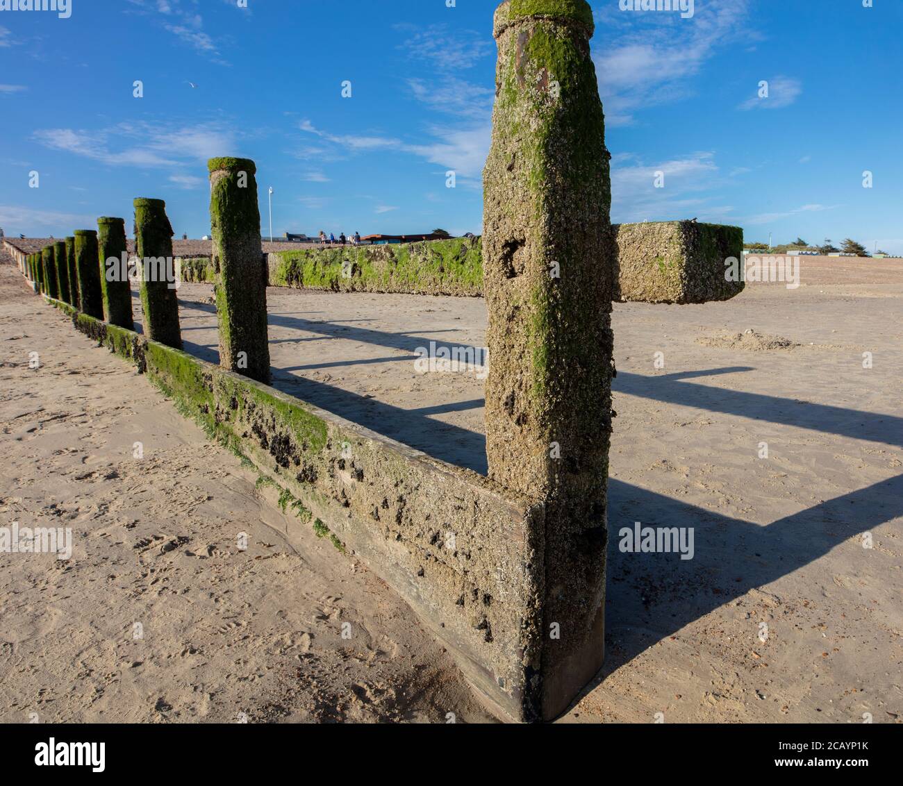 Breakwaters groynes seaweed hi-res stock photography and images - Alamy