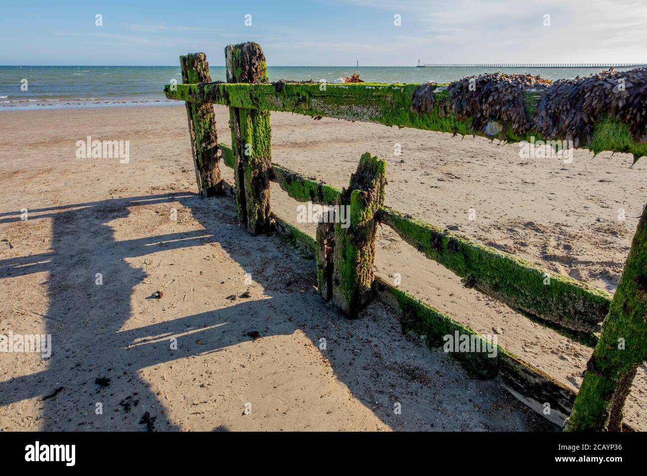 Seaweed on groynes hi-res stock photography and images - Alamy