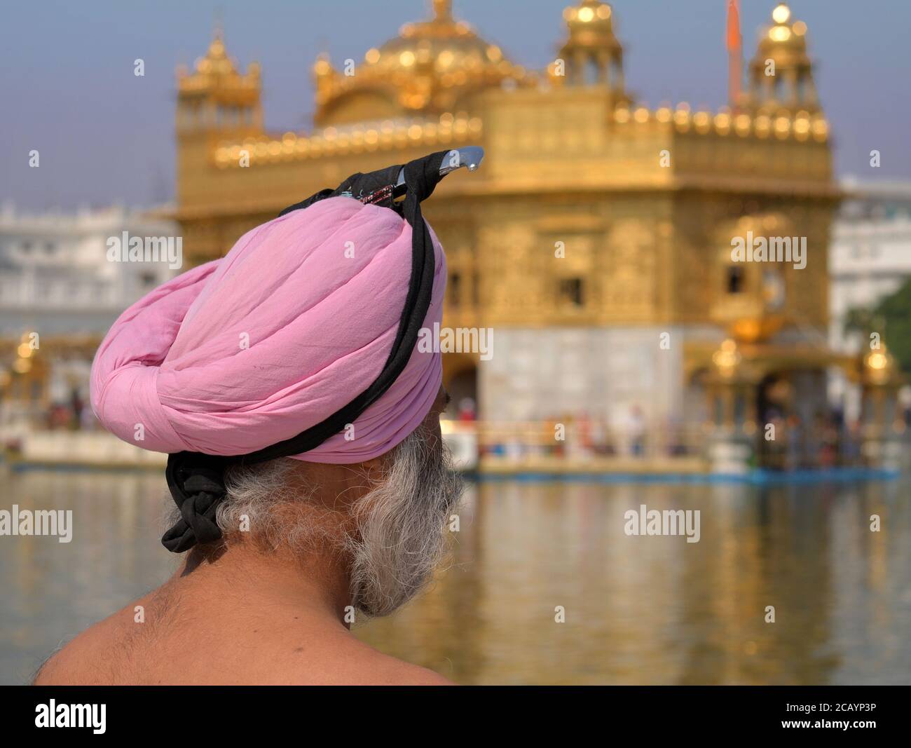 Elderly Indian Sikh man with ceremonial dagger (kirpan) in his pink ...