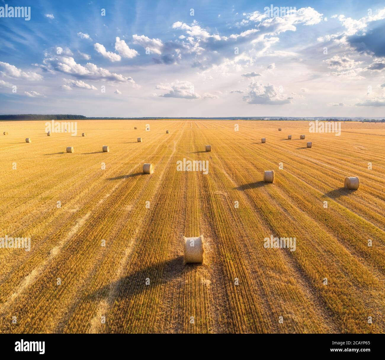 Aerial view of hay bales in summer. Top view of hay stacks Stock Photo ...