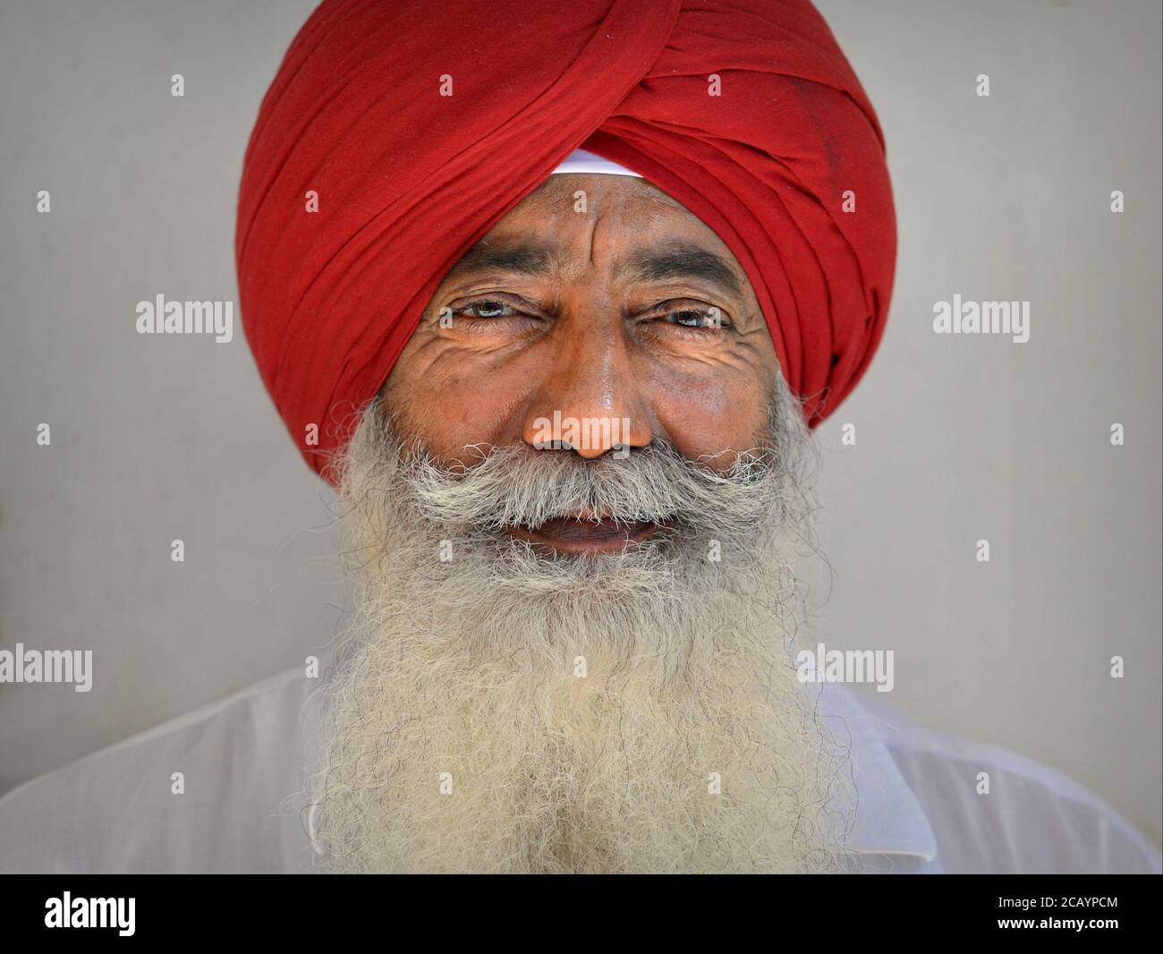 Elderly dignified Indian Sikh man with long beard wears a traditional turban (dastar) in red and ...