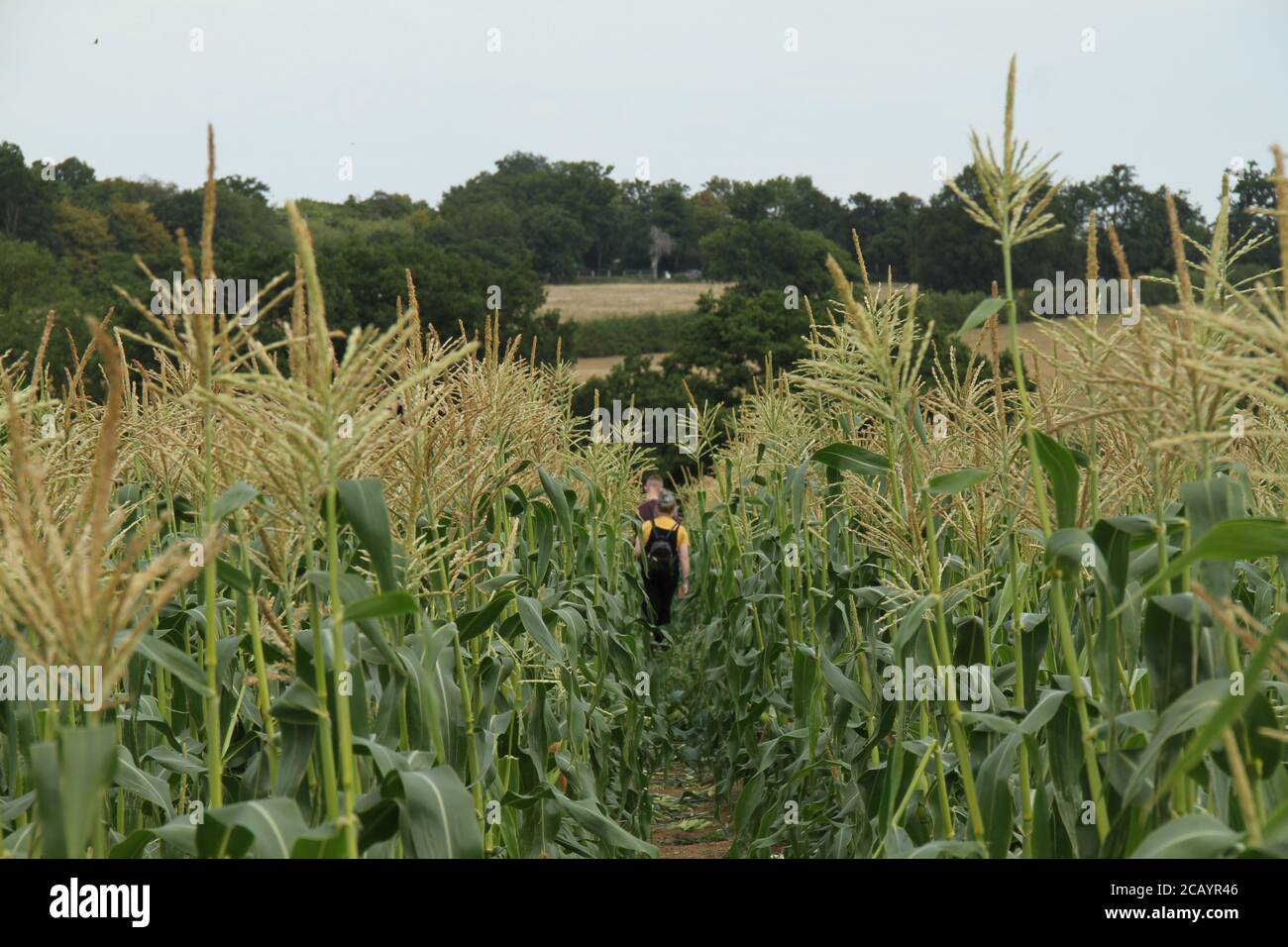 Parkside farm enfield hi-res stock photography and images - Alamy