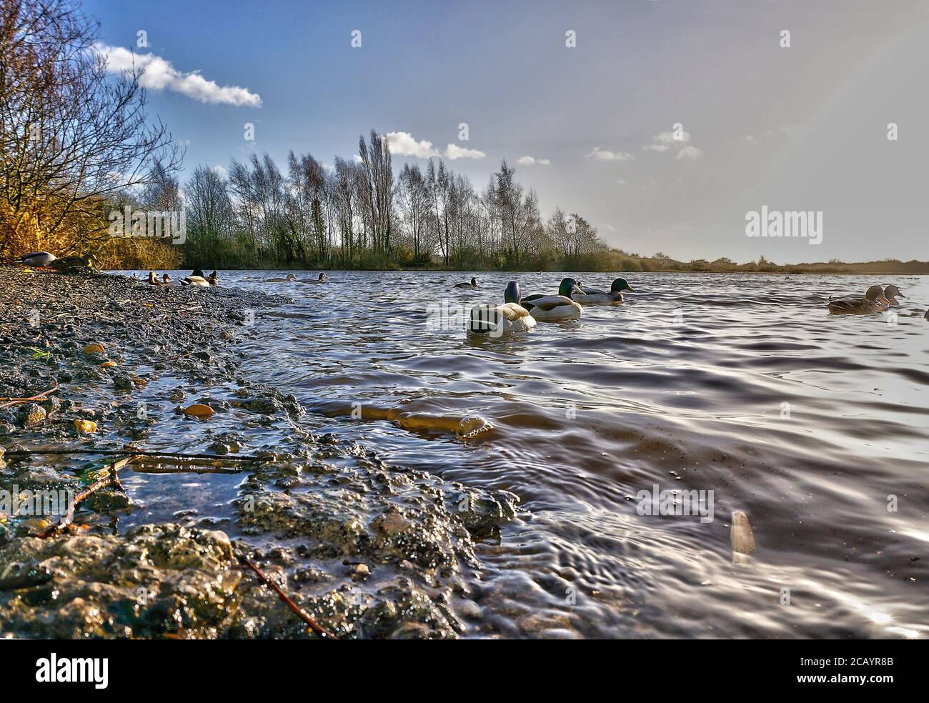 Eye level angle view hi-res stock photography and images - Alamy