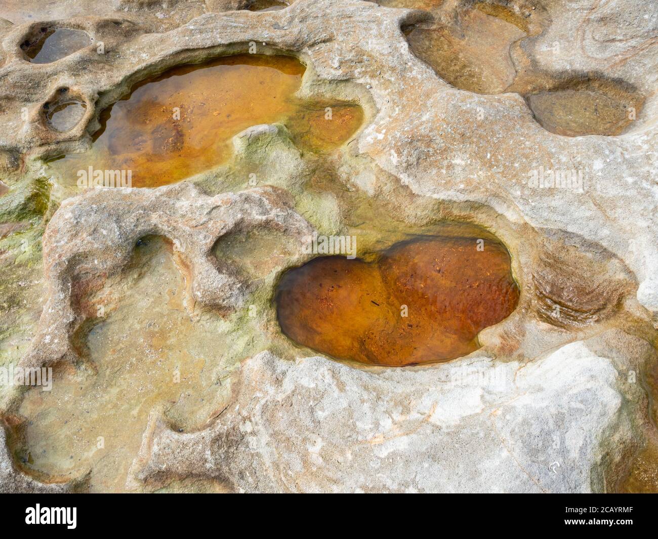Sydney sandstone rock erosion hi-res stock photography and images - Alamy