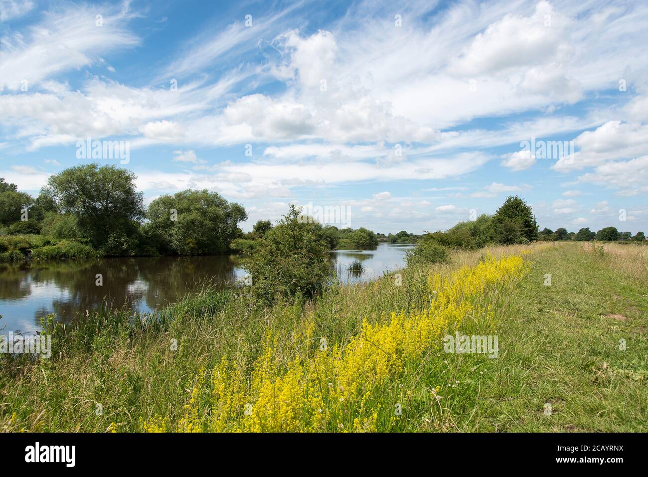 Summer river landscape scene Stock Photo - Alamy