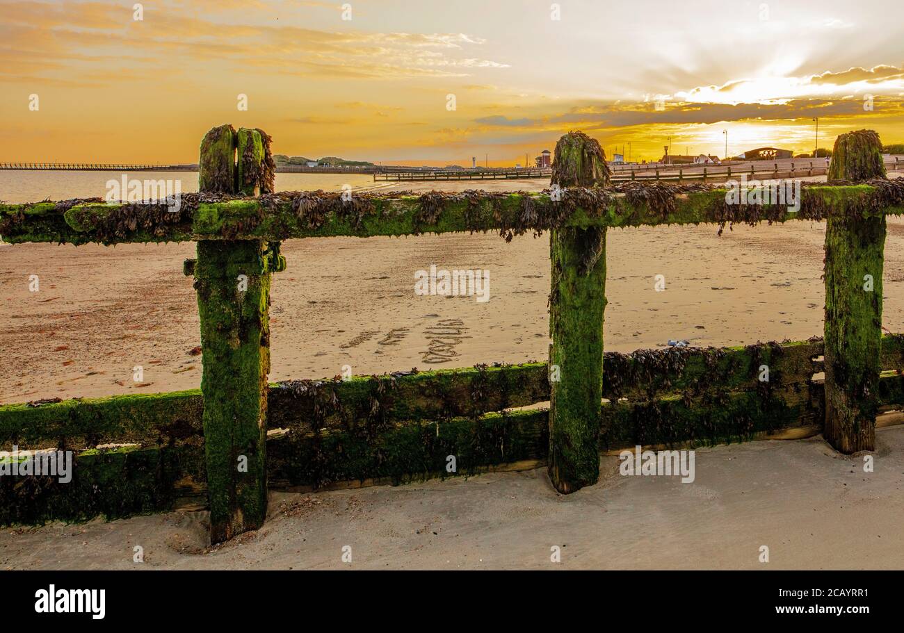 Breakwater groynes covered in wet green moss on beach at Littlehampton ...