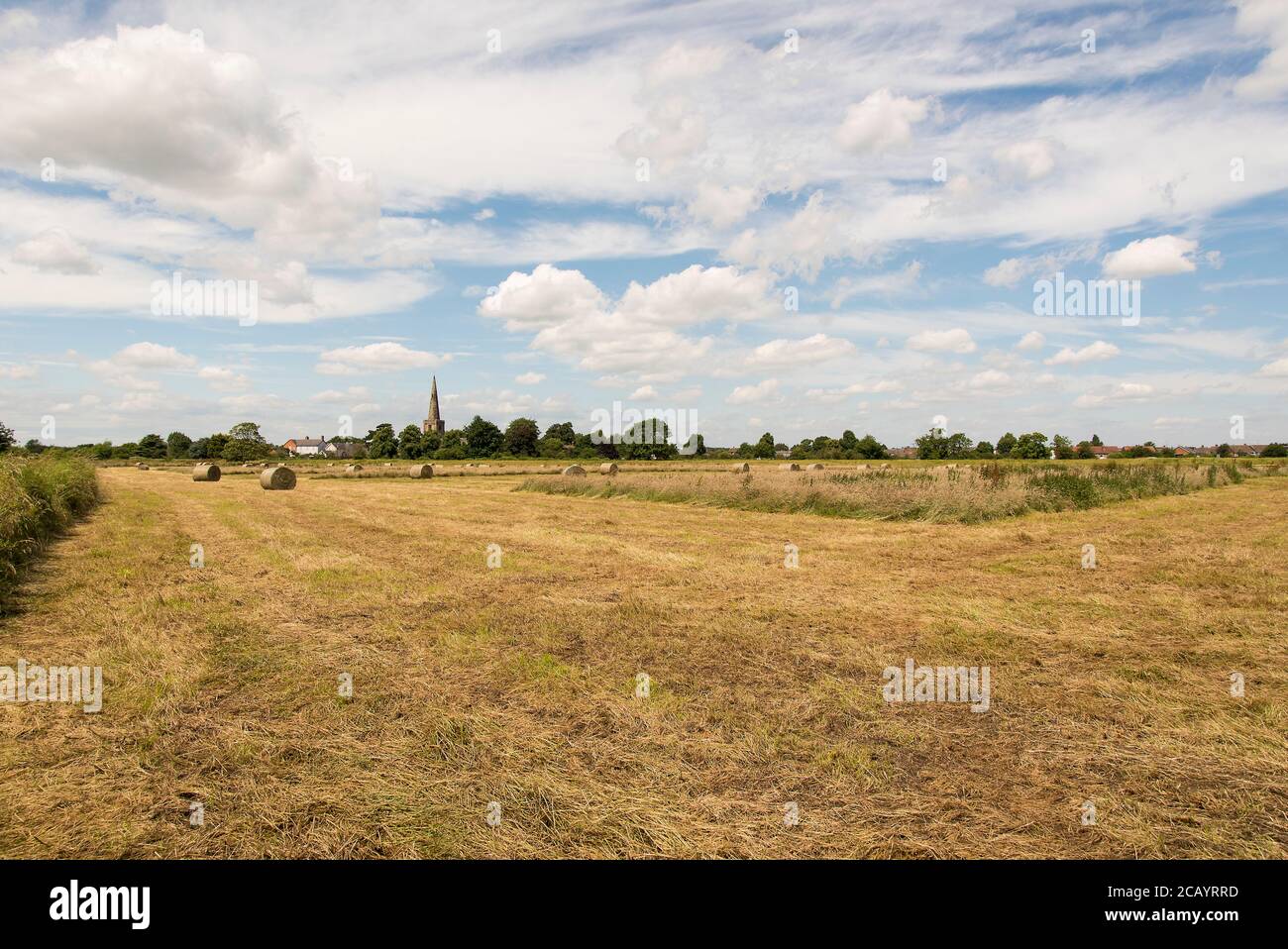 Dry cut field grass landscape Stock Photo - Alamy