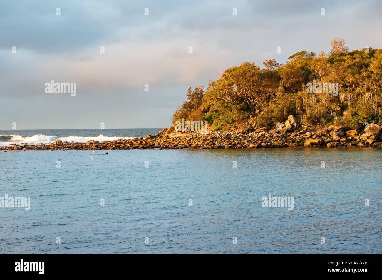 Shelly head hi-res stock photography and images - Alamy