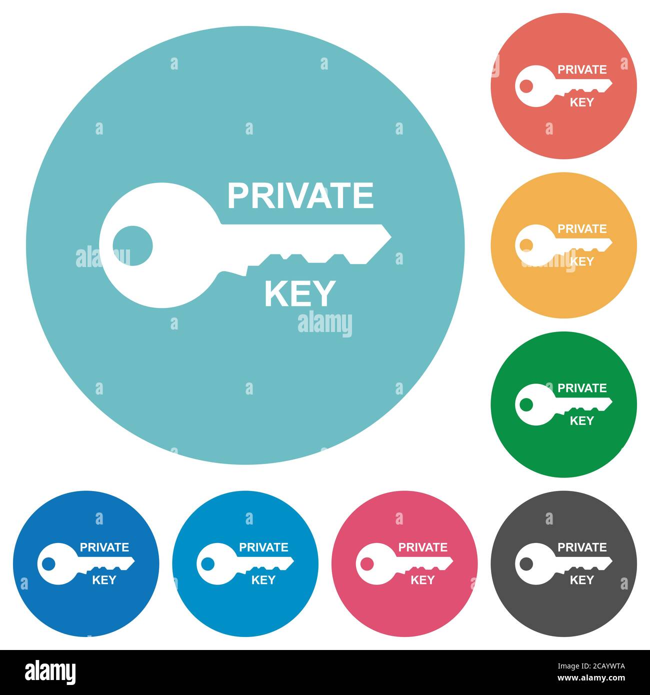Private key flat white icons on round color backgrounds Stock Vector ...