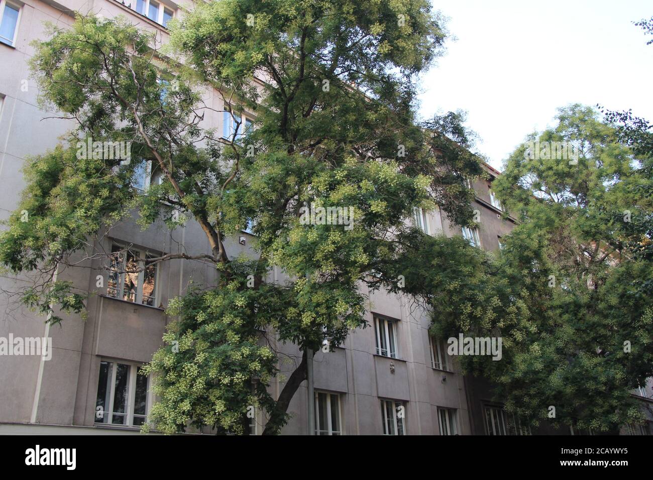 On a street called Biskupcova in Prague, Czech Republic, there are ...