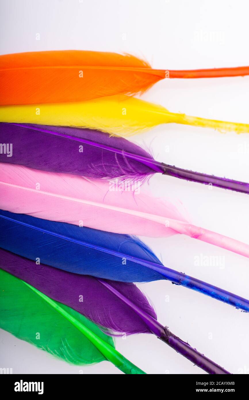 Studio shot photo of colored bird feathers as texture background Stock ...