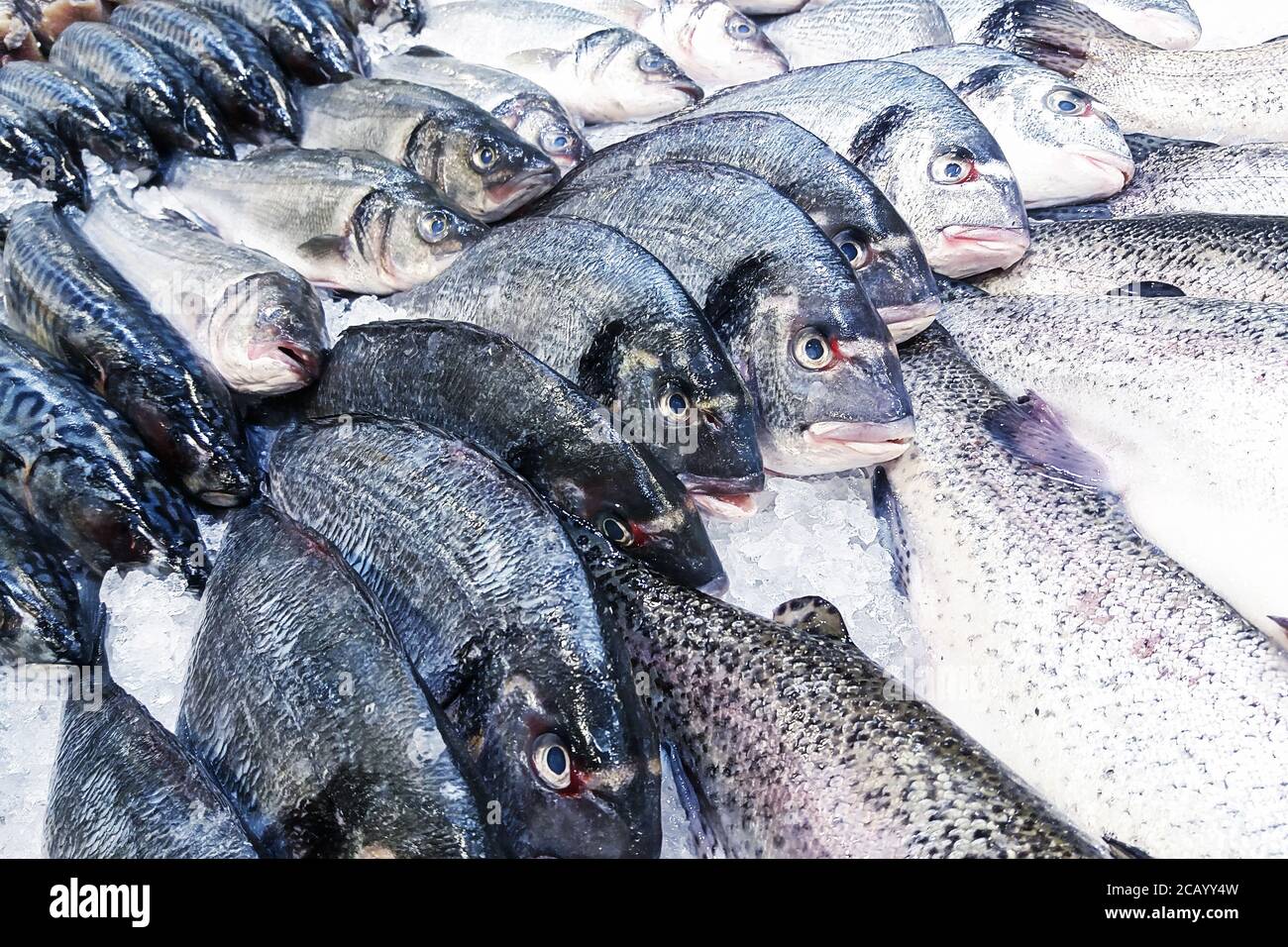 fish on ice at fish market, dorado fish selling Stock Photo - Alamy