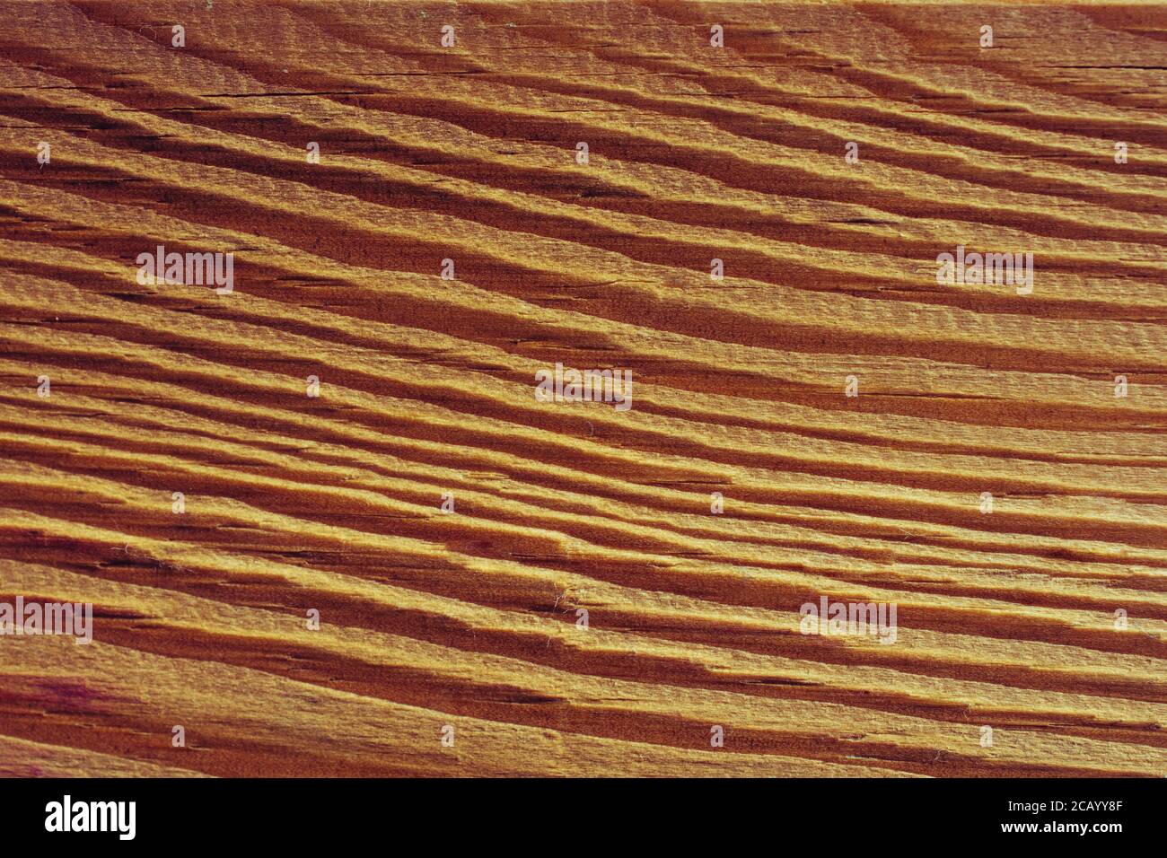 Timber background of wood texture. Abstract wood background Stock Photo ...