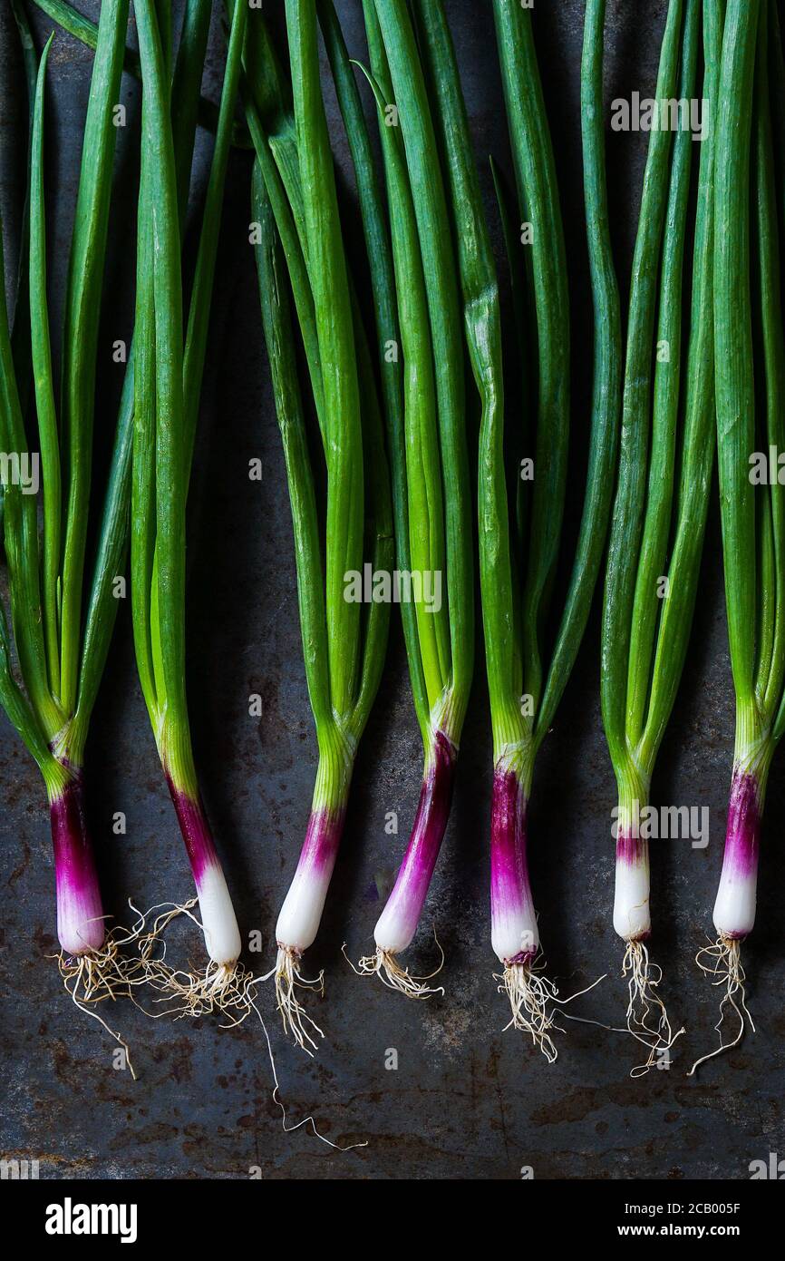 Bunch of scallions hi-res stock photography and images - Alamy