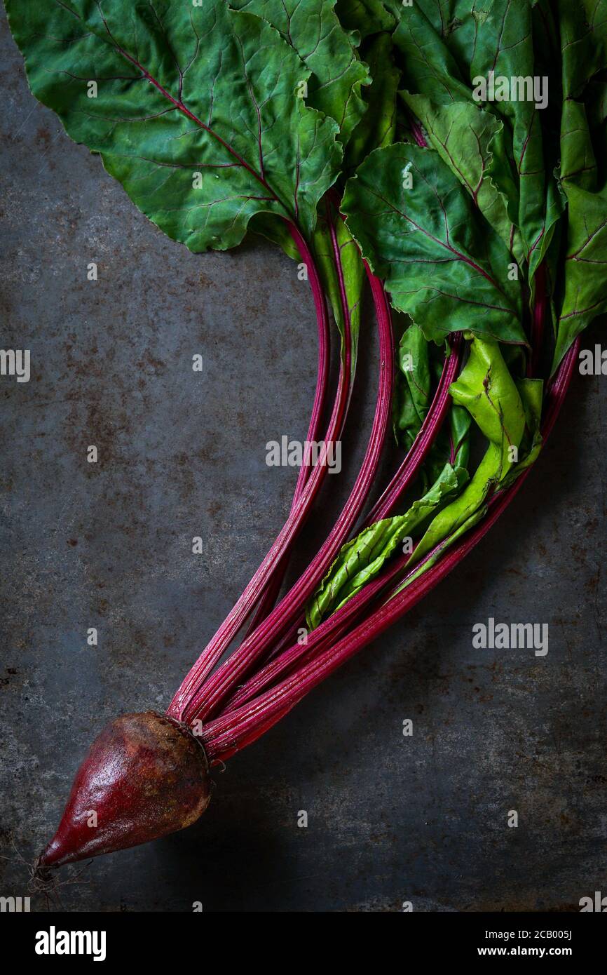Sugar beet background isolated beets hi-res stock photography and ...