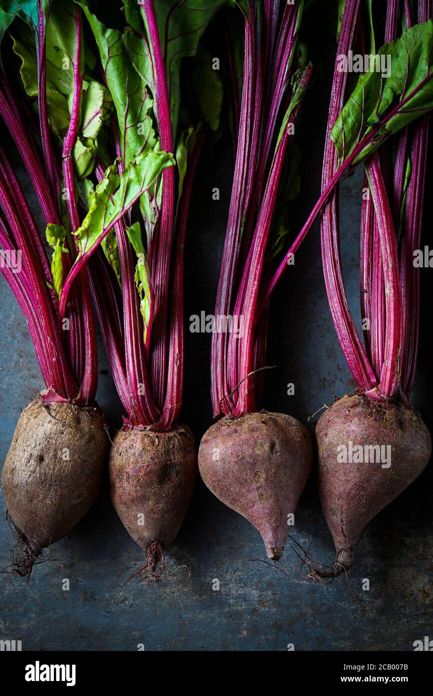 Sugar beet background isolated beets hi-res stock photography and ...