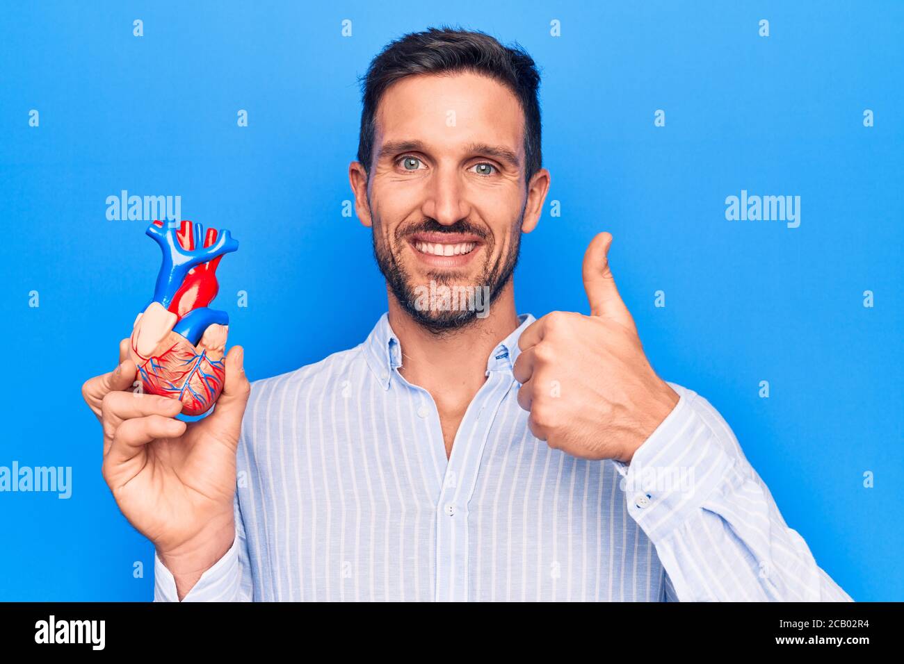 Young handsome man holding heart organ with veins and arteries over ...