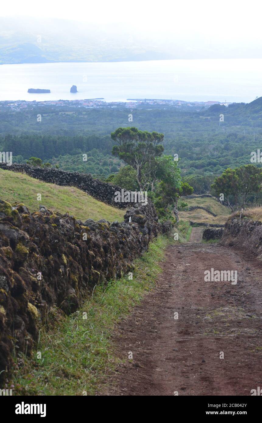 Rural paths amidst vineyards and lush vegetation in the foothills of ...