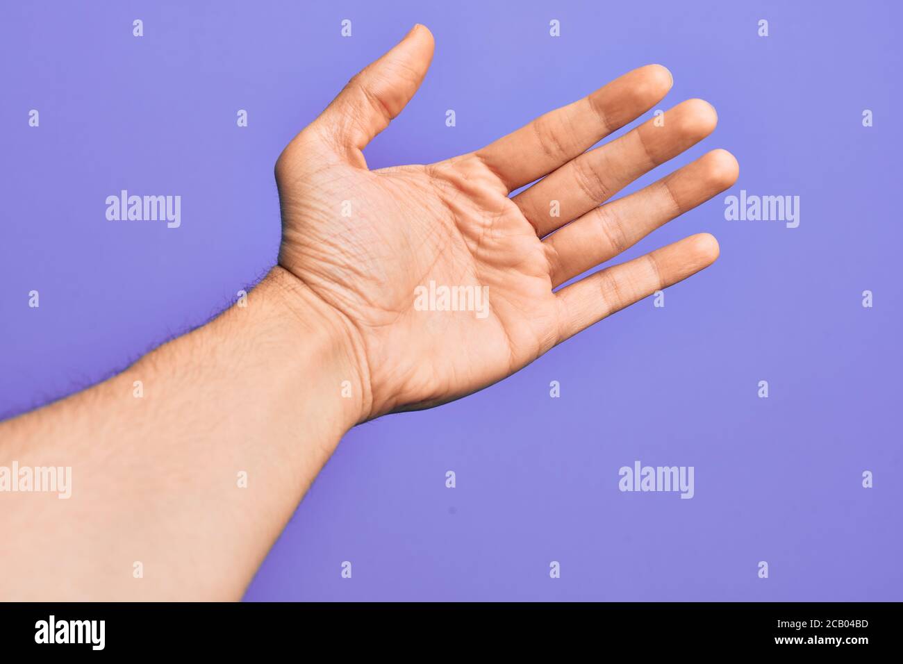 Hand of caucasian young man showing fingers over isolated purple ...