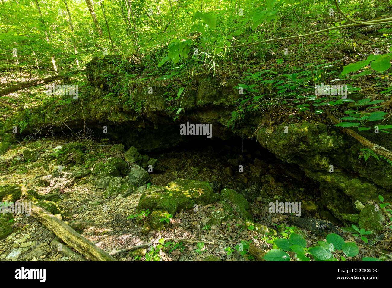 A small cave in the woods Stock Photo - Alamy
