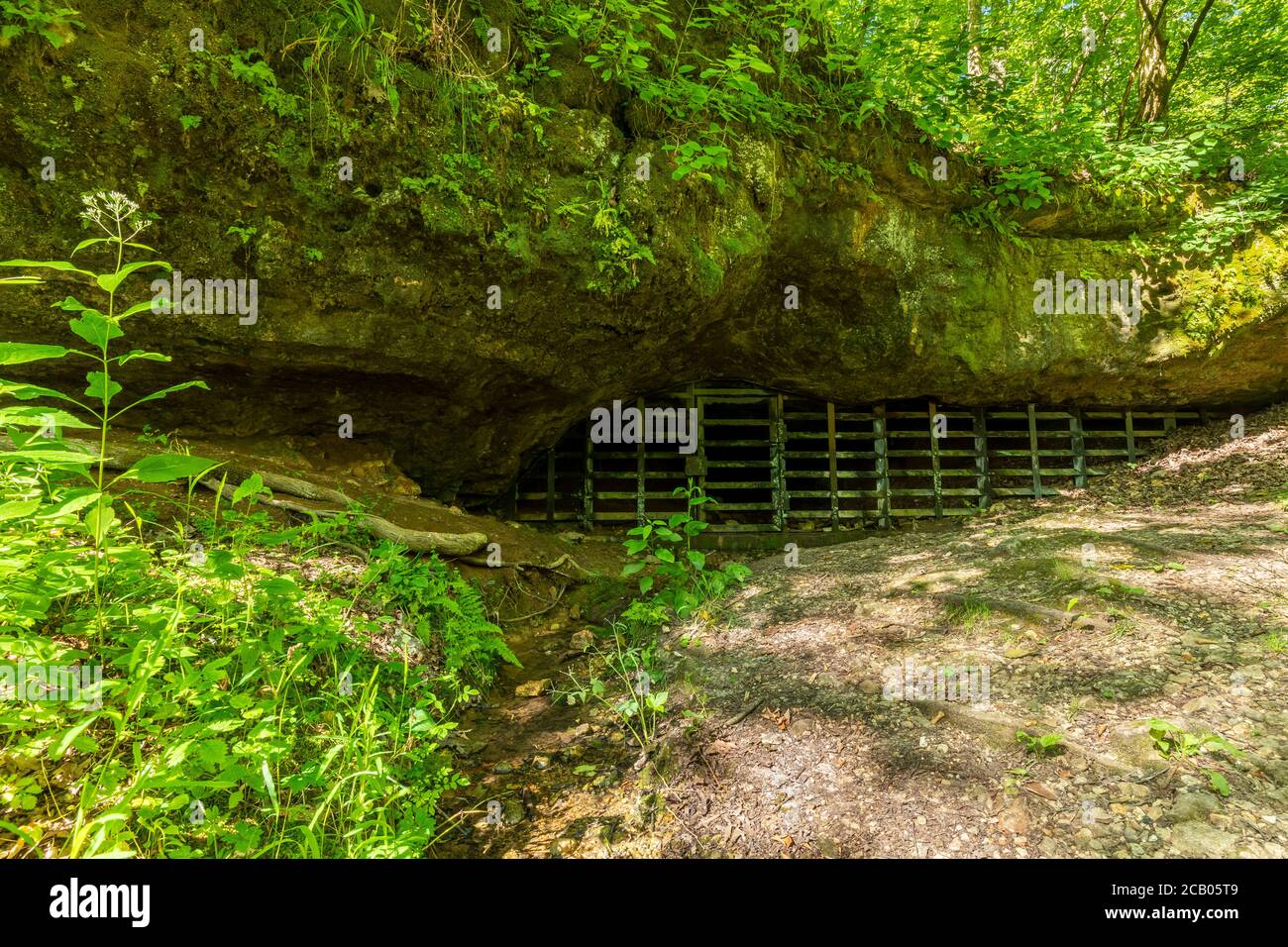 A closed off cave in the woods Stock Photo - Alamy