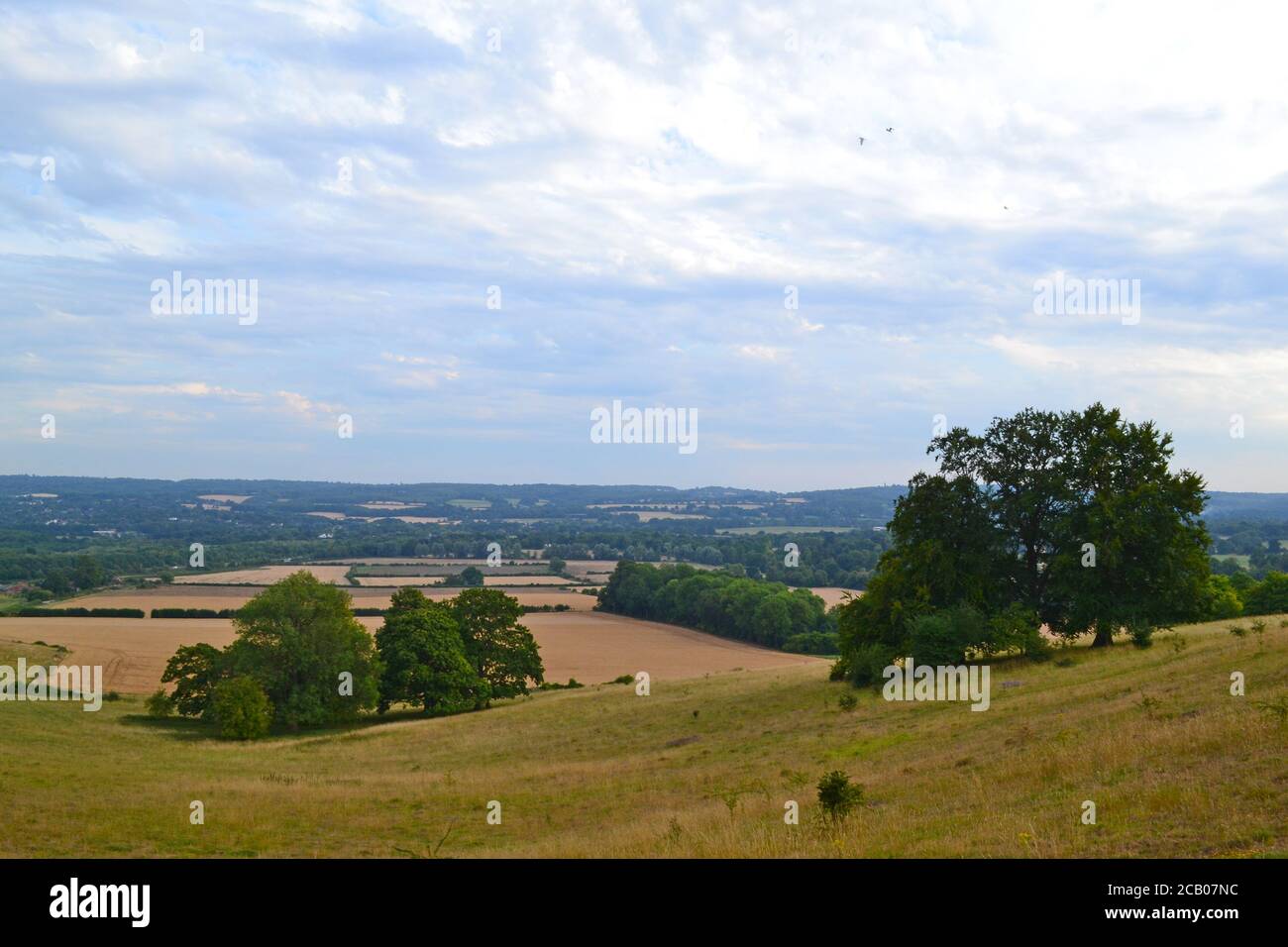 Mid August on the North Downs Way path between Knockholt Pound and ...