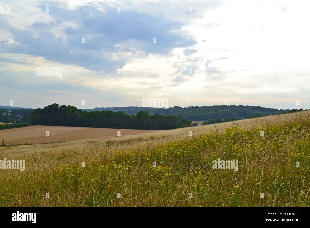 Mid August on the North Downs Way path between Knockholt Pound and ...
