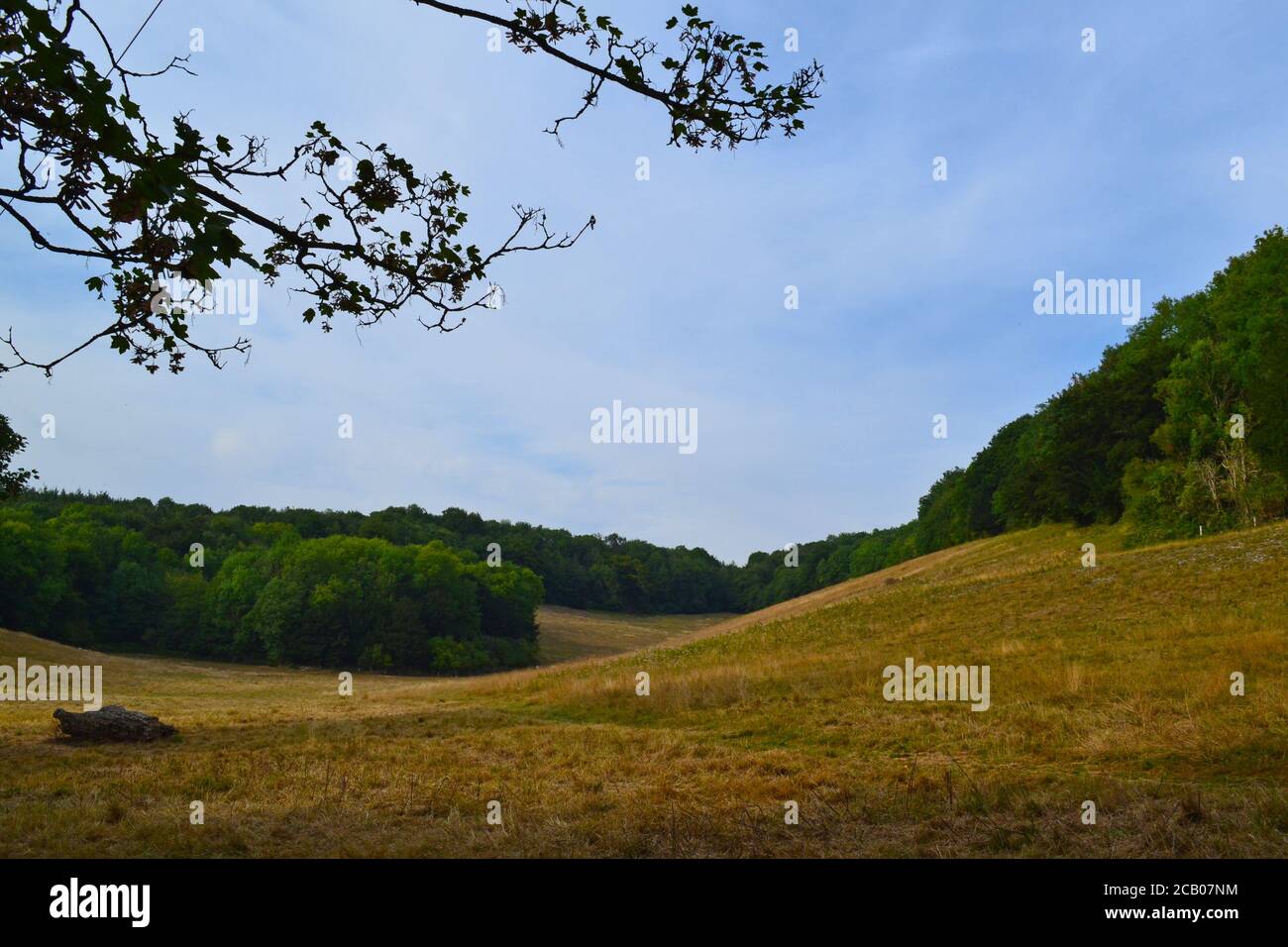Mid August on the North Downs Way path between Knockholt Pound and ...