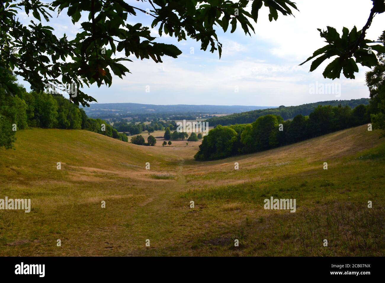 Mid August on the North Downs Way path between Knockholt Pound and ...