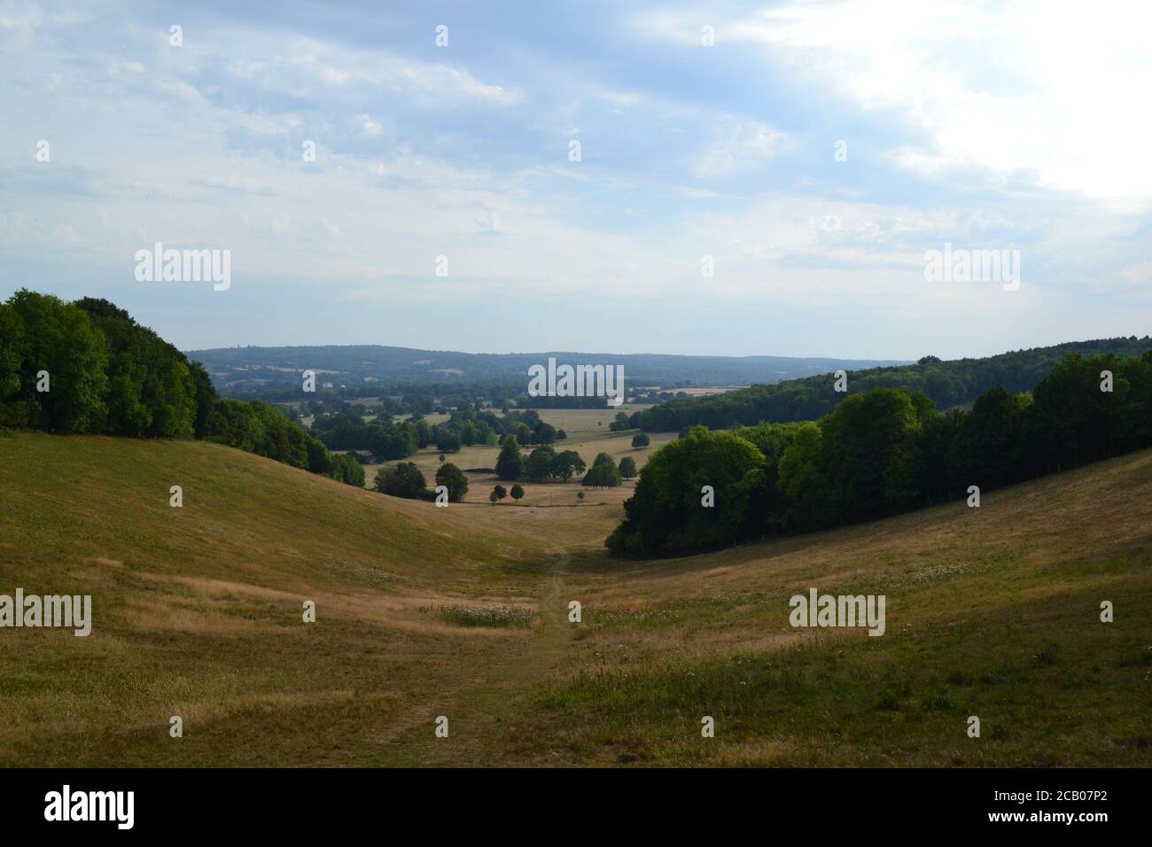 Mid August on the North Downs Way path between Knockholt Pound and ...