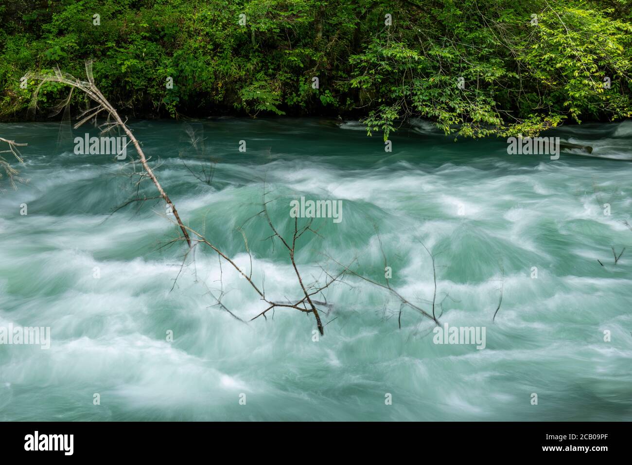 Greer Spring - A spring bursting up from below adding to the flow of a ...